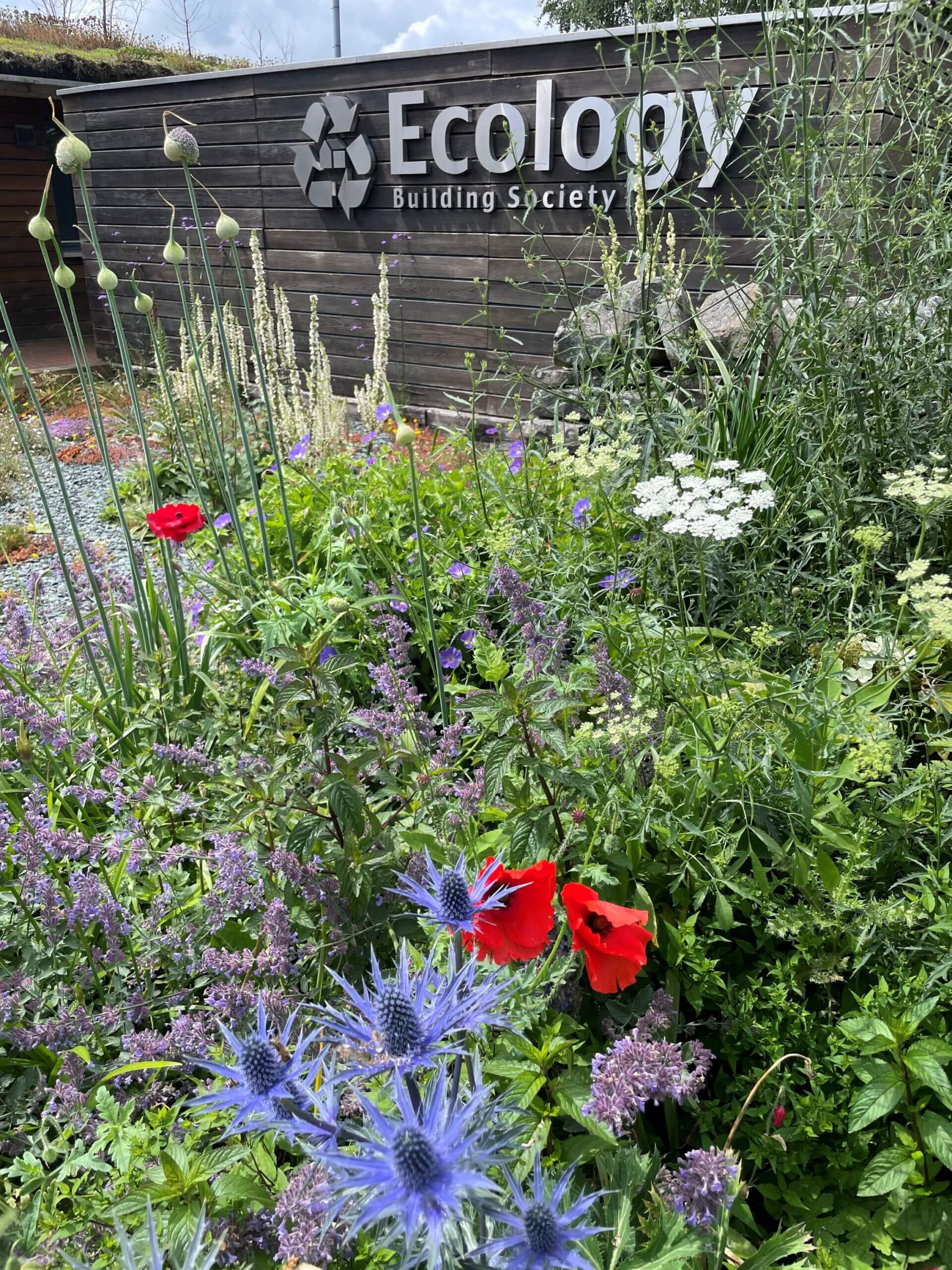 Ecology Hub - Blog, News, Articles - Ecology Building Society